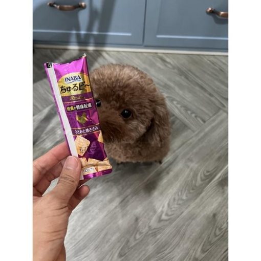 1 Que Snack Gà Mềm Chứa Sốt Cho Chó Inaba Churu Bee & Churutto ...