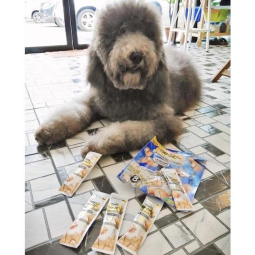 1 Que Snack Gà Mềm Chứa Sốt Cho Chó Inaba Churu Bee & Churutto ...